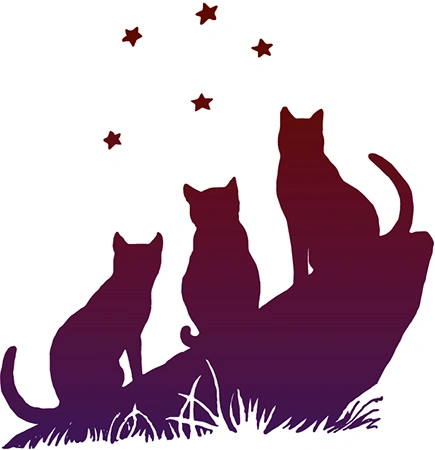 Category:The Ultimate Guide: Updated and Expanded Edition | Warriors ...