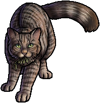 Prowl Sleek | Warriors Wiki | Fandom