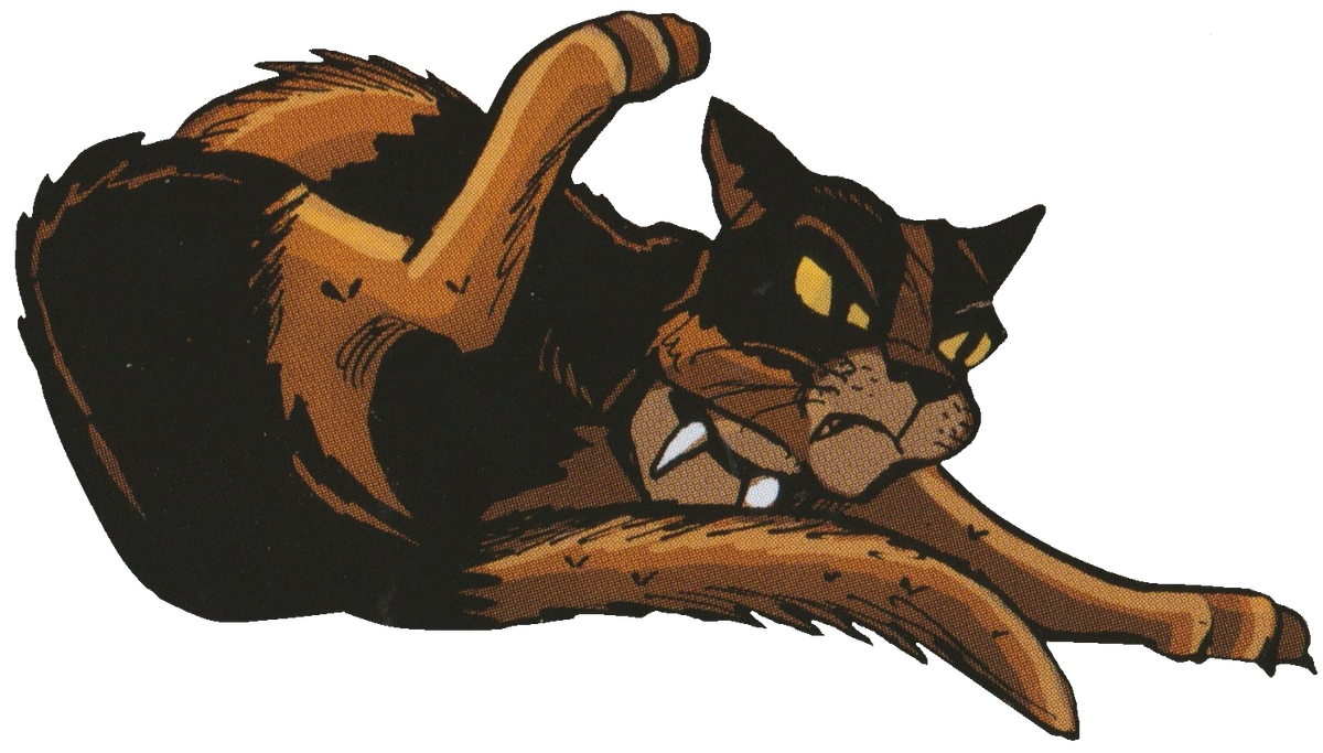 Ravenpaw's Path (book)/Artwork | Warriors Wiki | Fandom