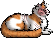 Brightheart | Warriors Wiki | Fandom