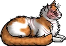 Brightheart | Warriors Wiki | Fandom