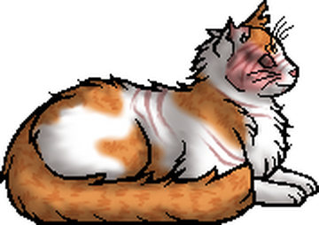 Warrior Cats Brightheart And Cloudtail Kit