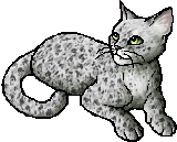 Ferncloud | Warriors Wiki | Fandom