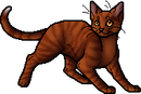 Alderheart | Warriors Wiki | Fandom