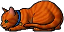 Firestar | Warriors Wiki | Fandom