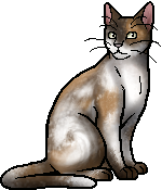 Fringewhisker | Warriors Wiki | Fandom