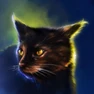 Redtail | Warriors Wiki | Fandom