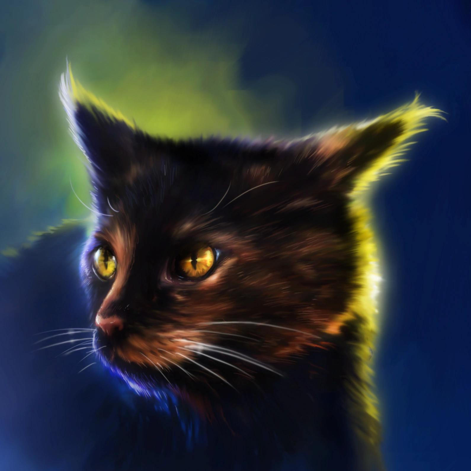 Redtail | Warriors Wiki | Fandom