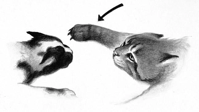 Fighting techniques | Warriors Wiki | Fandom