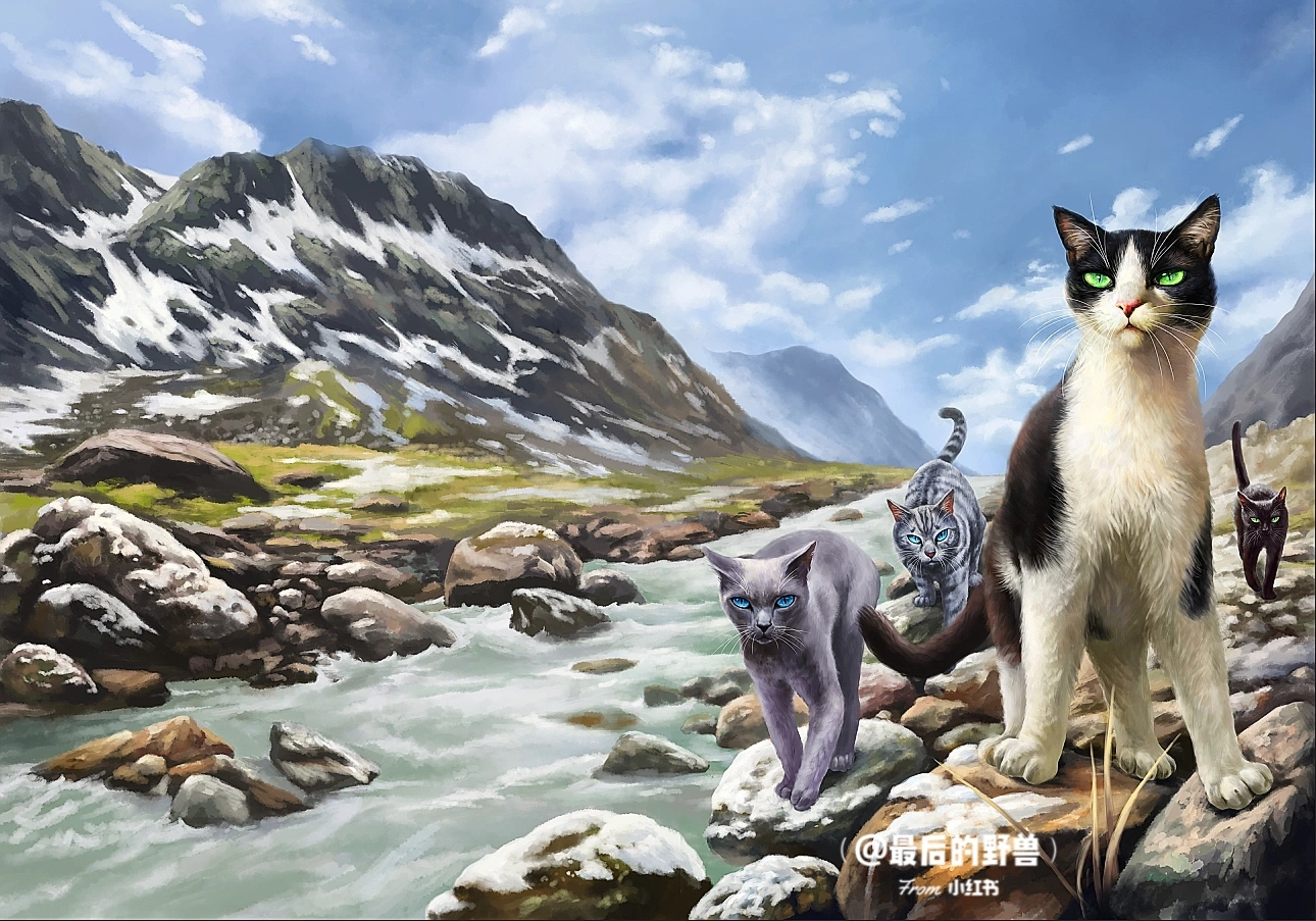 Category:Dawn of the Clans images | Warriors Wiki | Fandom