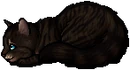 Hawkfrost | Warriors Wiki | Fandom