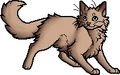 Primrosepaw | Warriors Wiki | Fandom