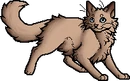 Primrosepaw | Warriors Wiki | Fandom
