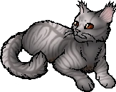 Tawnyspots | Warriors Wiki | Fandom