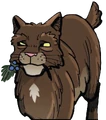 Barkface | Warriors Wiki | Fandom