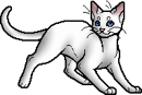 Stonewing | Warriors Wiki | Fandom