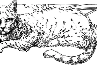 jascode coloring pages