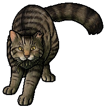 Hunt Growl | Warriors Wiki | Fandom