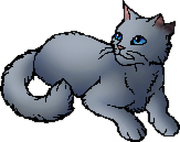 Warrior Cats Stonefur