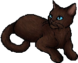 Mousefur | Warriors Wiki | Fandom