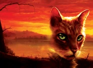 Sunset | Warriors Wiki | Fandom