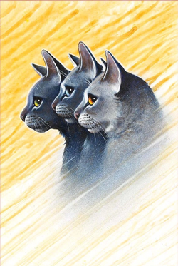 Warrior Cats Stonefur