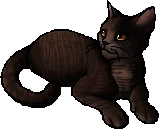 Dustpelt | Warriors Wiki | Fandom