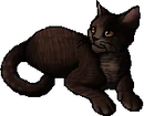 Dustpelt | Warriors Wiki | Fandom