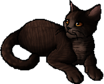 Warrior Cats Dustpaw