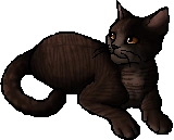 Dustpelt | Warriors Wiki | Fandom
