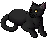 Gray Wing | Warriors Wiki | Fandom