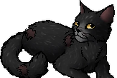 Warrior Cats Willowbreeze