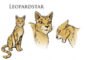 Leopardstar | Warriors Wiki | Fandom