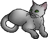 Snowstar | Warriors Wiki | Fandom