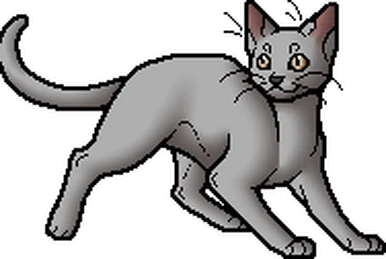 blossomfall warriors