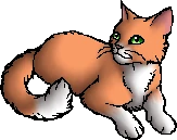 Billystorm | Warriors Wiki | Fandom