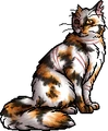 Brightheart | Warriors Wiki | Fandom