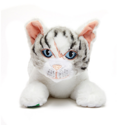 Ivypool | Warriors Wiki | Fandom