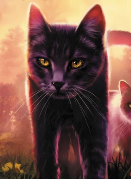 Nightheart (ASC) | Warriors Wiki | Fandom