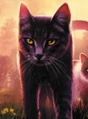 Nightheart (ASC) | Warriors Wiki | Fandom
