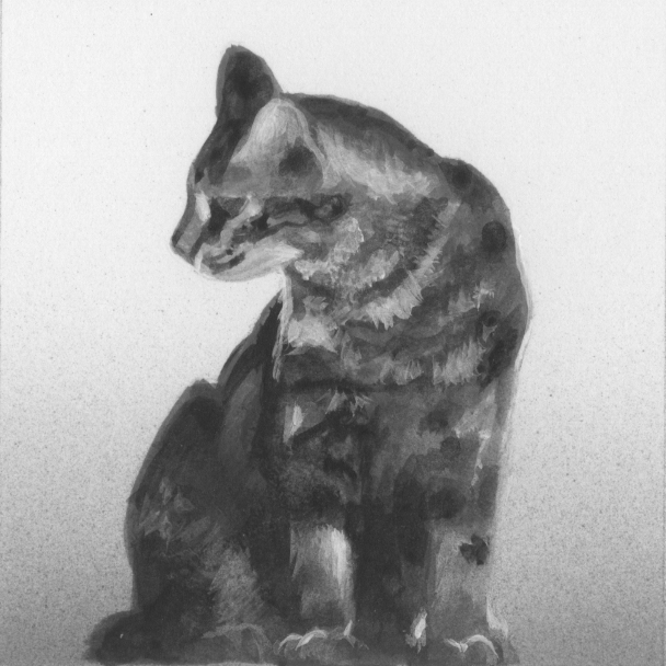 Sunrise (book)/Chapter 17 | Warriors Wiki | Fandom