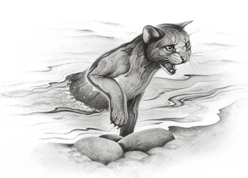 Rushpaw (BotC) | Warriors Wiki | Fandom