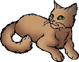 Appledusk | Warriors Wiki | Fandom