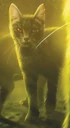 Nightheart (ASC) | Warriors Wiki | Fandom