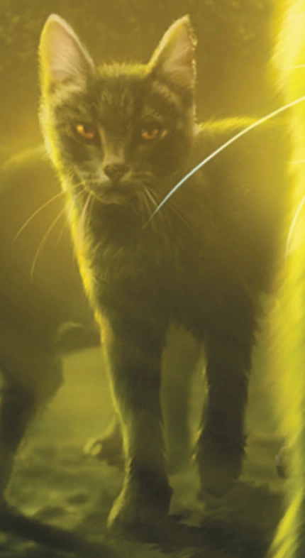 A Starless Clan/Artwork | Warriors Wiki | Fandom