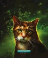 Spottedleaf | Warriors Wiki | Fandom