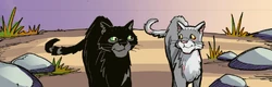 Battle for ShadowClan (ITW) | Warriors Wiki | Fandom