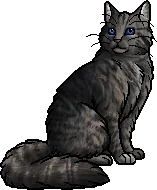 Cinderheart | Warriors Wiki | Fandom