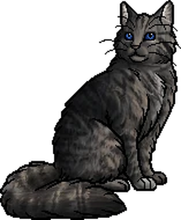 Warrior Cats Cinderheart And Cinderpelt
