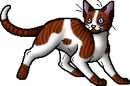 Nettlespot | Warriors Wiki | Fandom